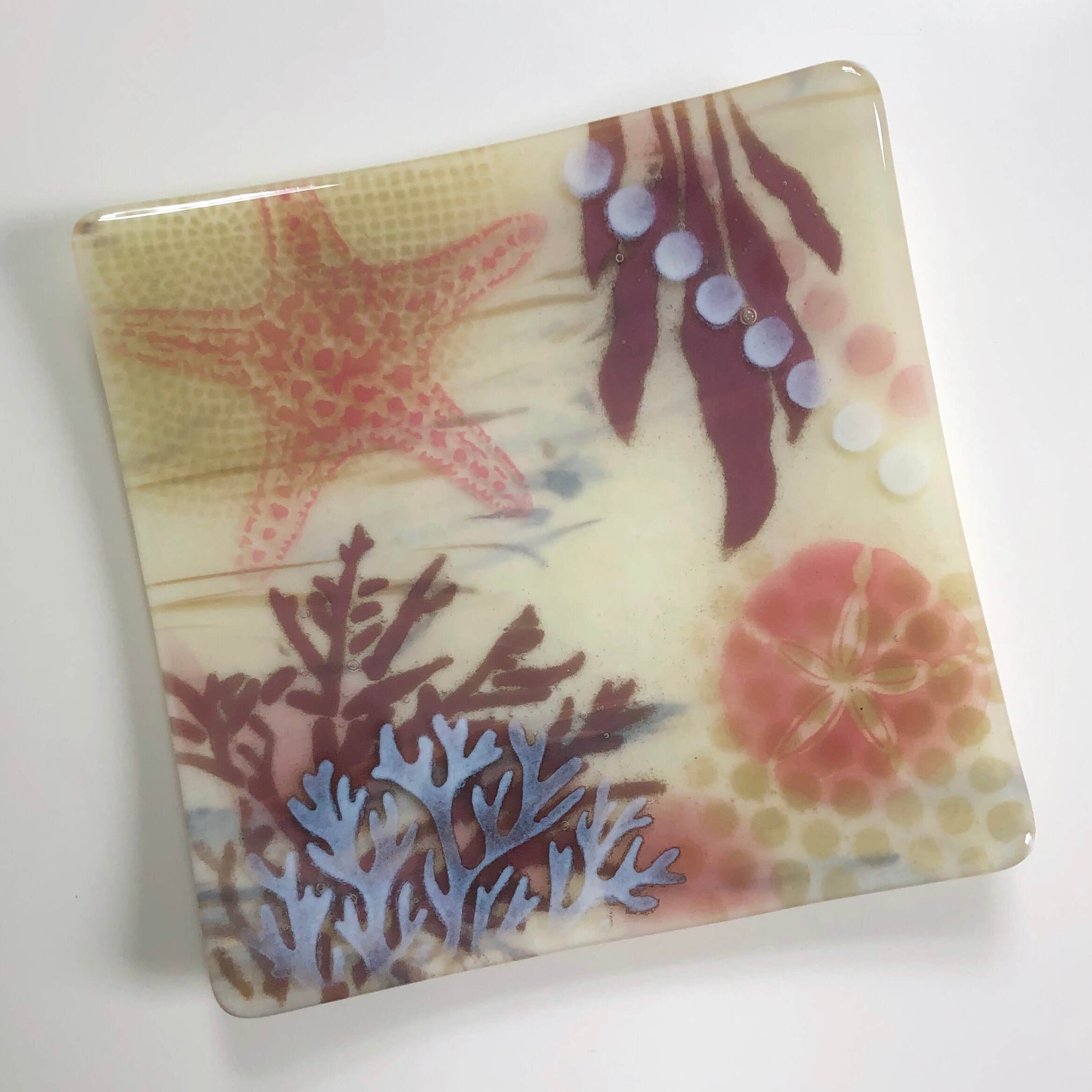 modern reef glass plate in cream-colored glass | melsie glass